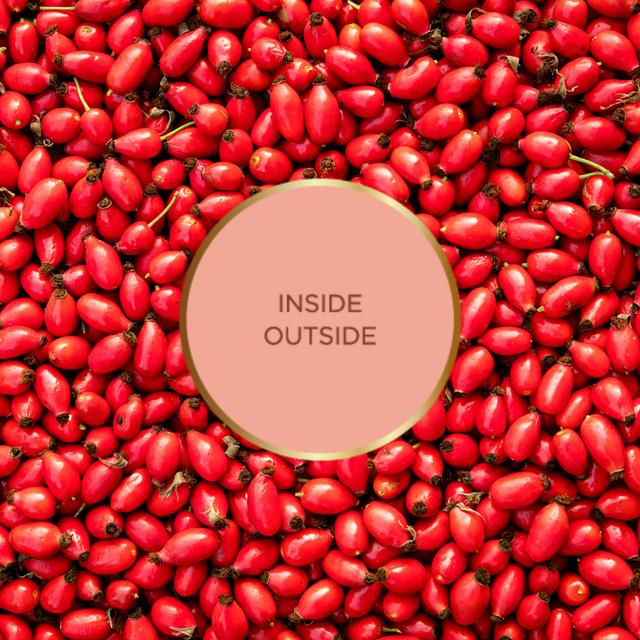 Best Natural & Organic Self Tanning Products – Tanorganic